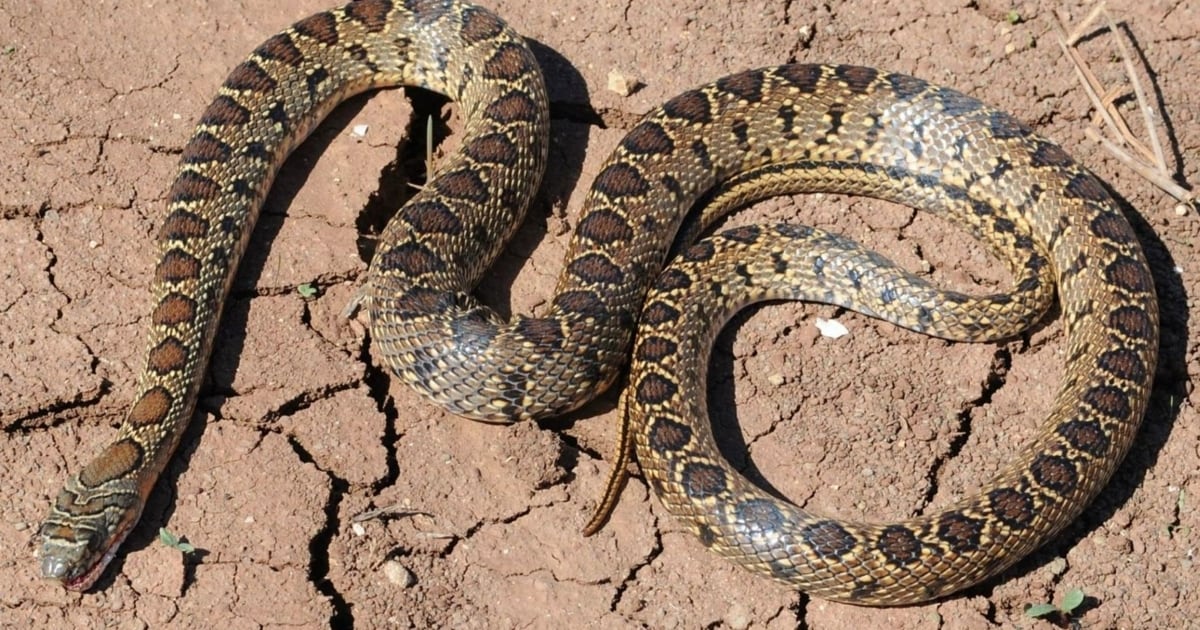 Grace_xo16 nudes she's extremely sensual and gorgeous while