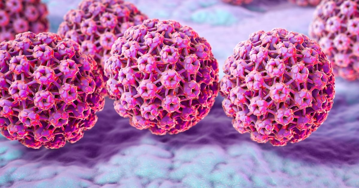 Mehr als Genitalwarzen - HPV-Infektion bedeutet auch Gefahr für die ...