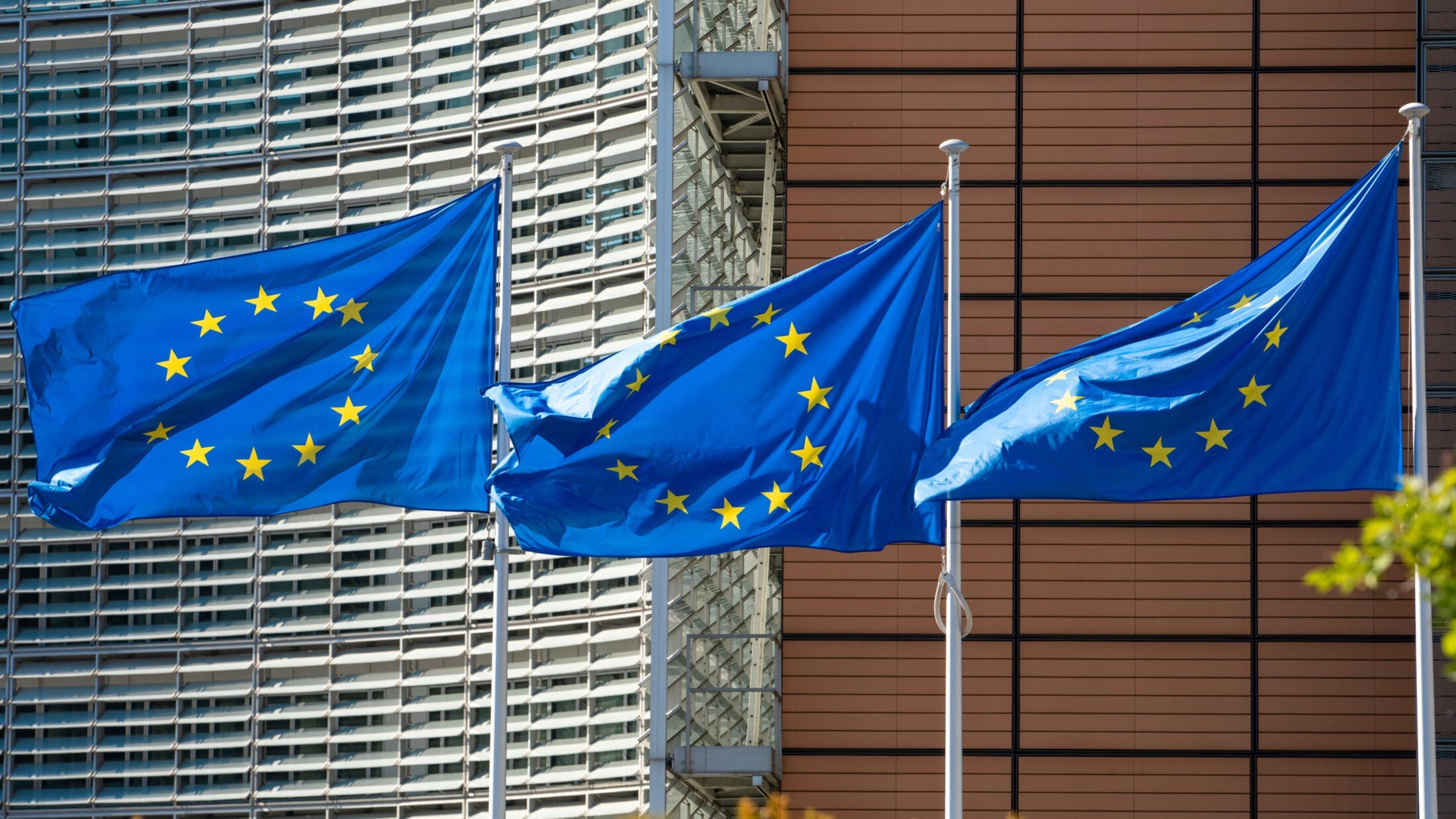 Druck von Konzernen - EU erwägt Aussetzung von Teilen des KI-Gesetzes ...