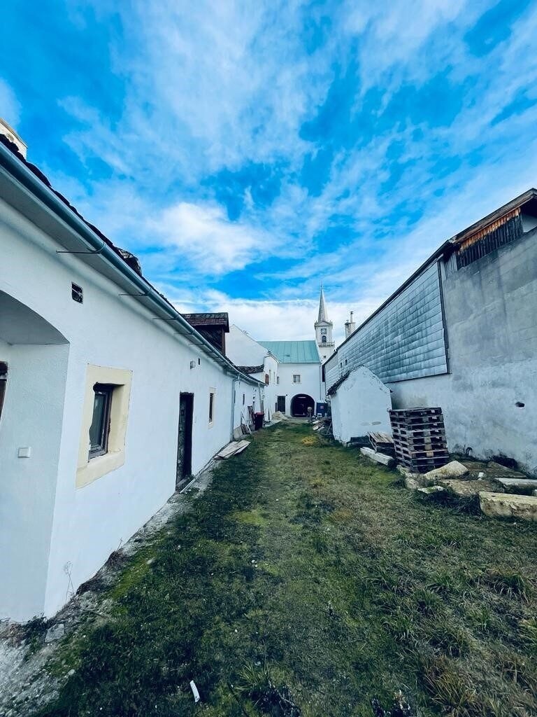 Max Stiegls Pläne - Sautänze, Fische und andere Liebschaften | krone.at