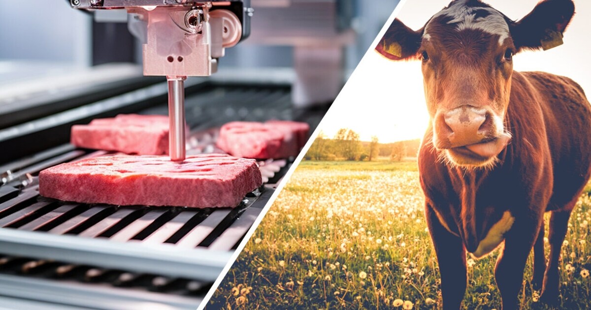 Double commentary - Lab-grown meat: the pros and cons | krone.at