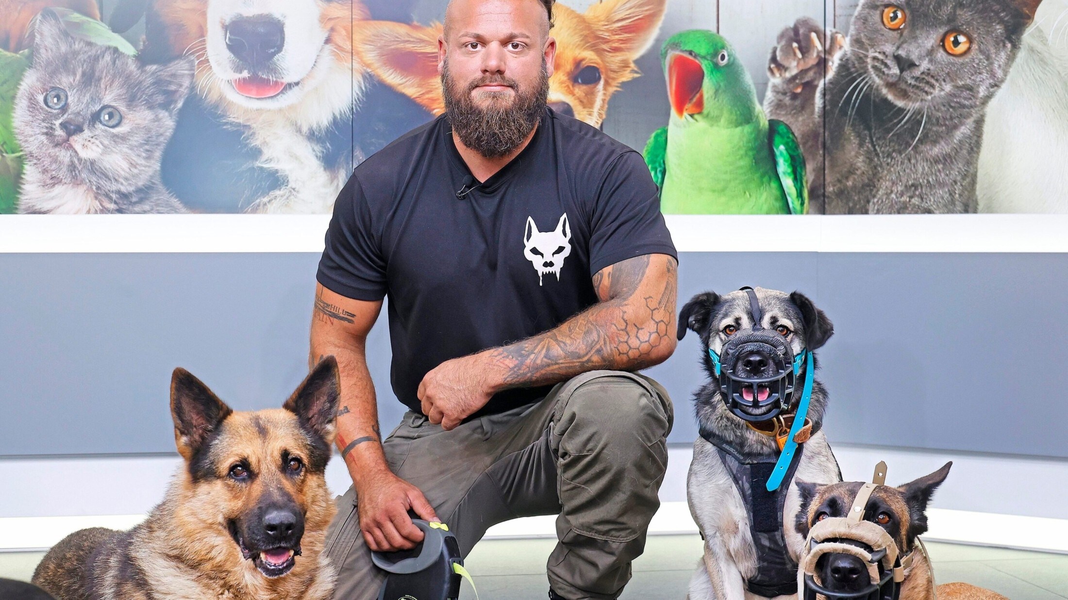 Steirische Reaktionen - „Gesetzesnovelle verhindert Tierleid im ...