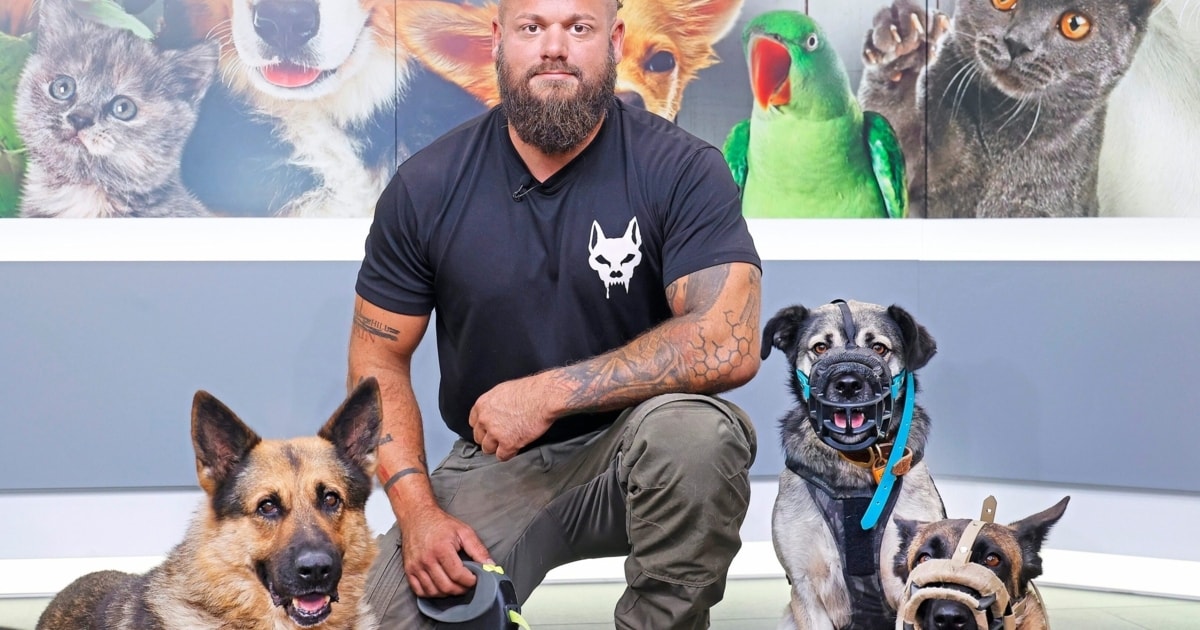 Steirische Reaktionen - „Gesetzesnovelle verhindert Tierleid im ...