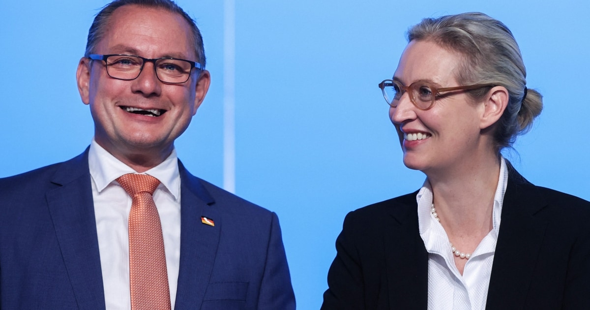 Lesbian relationship - AfD leader sees Weidel as a “traditional woman ...