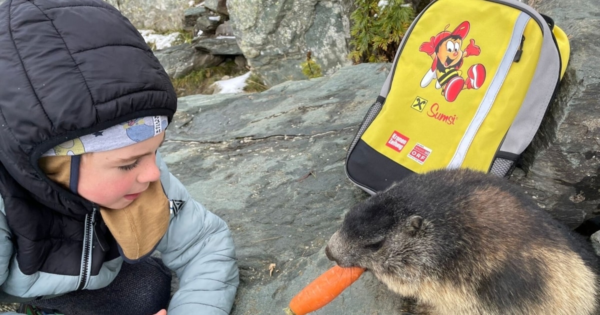 Foto-Wettbewerb - Mit der „Sumsi“ am Rücken in der Natur unterwegs ...