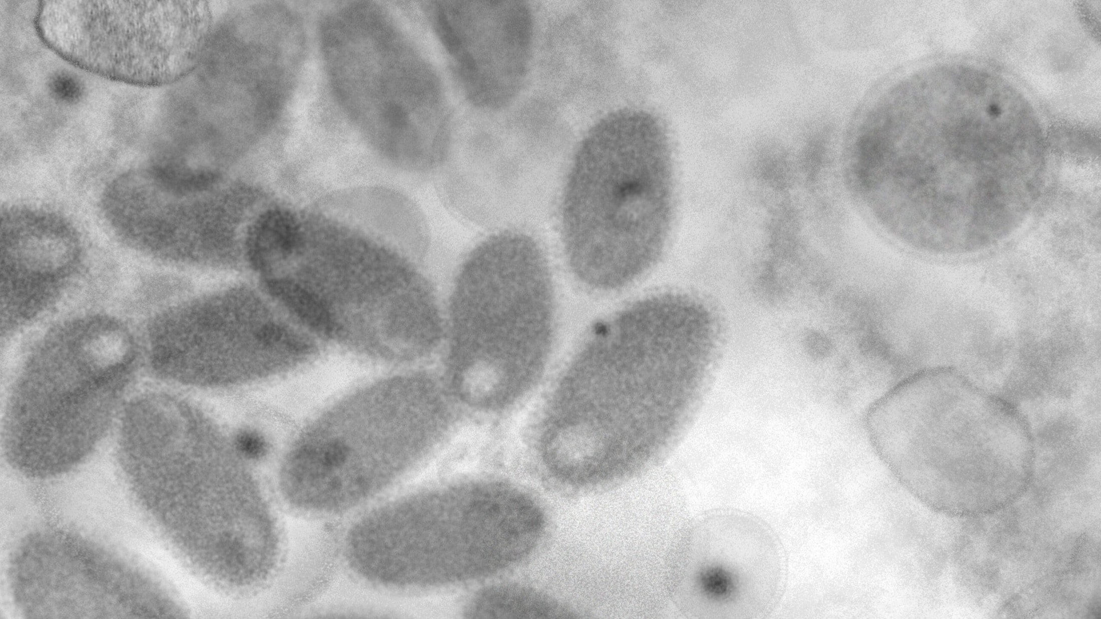 Tinymodel moriko typically pictures are not fair or