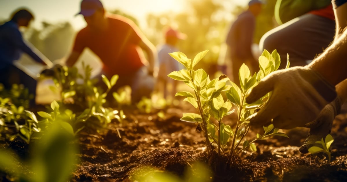 Alternative Umweltjahr - Kein „Habt Acht“: Klima schützen, statt ...