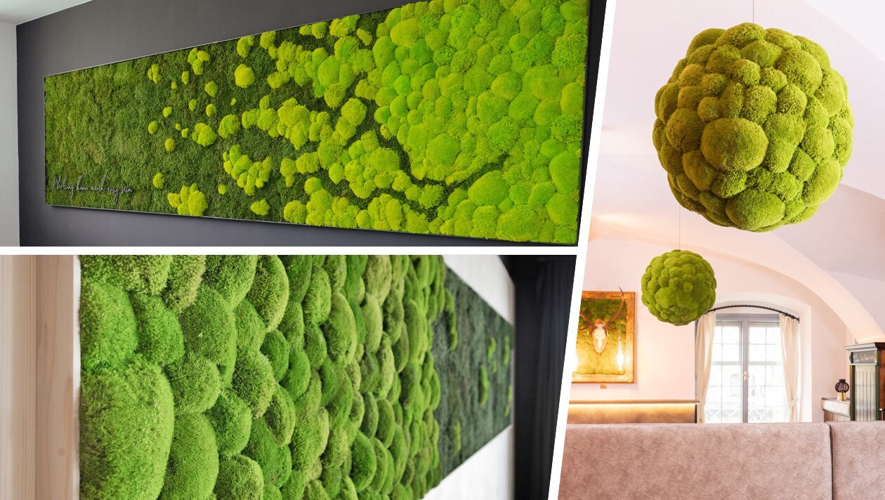 Arbeiten mit Moos - Mondseerin ermöglicht natürliche Bildschirmpause ...