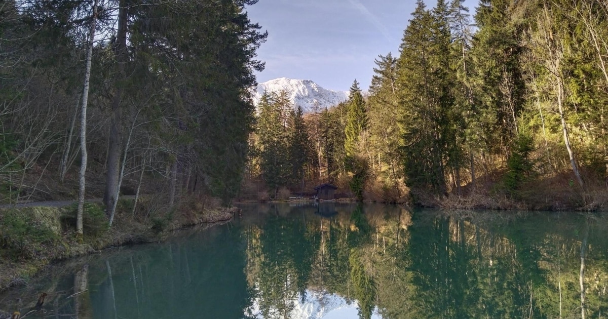 Nix wie los - Idyllische Rundwanderung zum Starkenberger See | krone.at