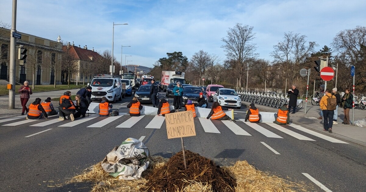 Trágyadomb az úton - Aktivisták káoszt okoznak a Schönbrunn előtt ...