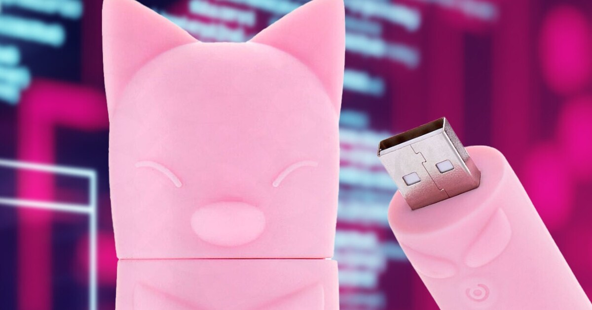 USB-Kondom schützt - Diese Vibratorkatze birgt ein düsteres Geheimnis | krone.at