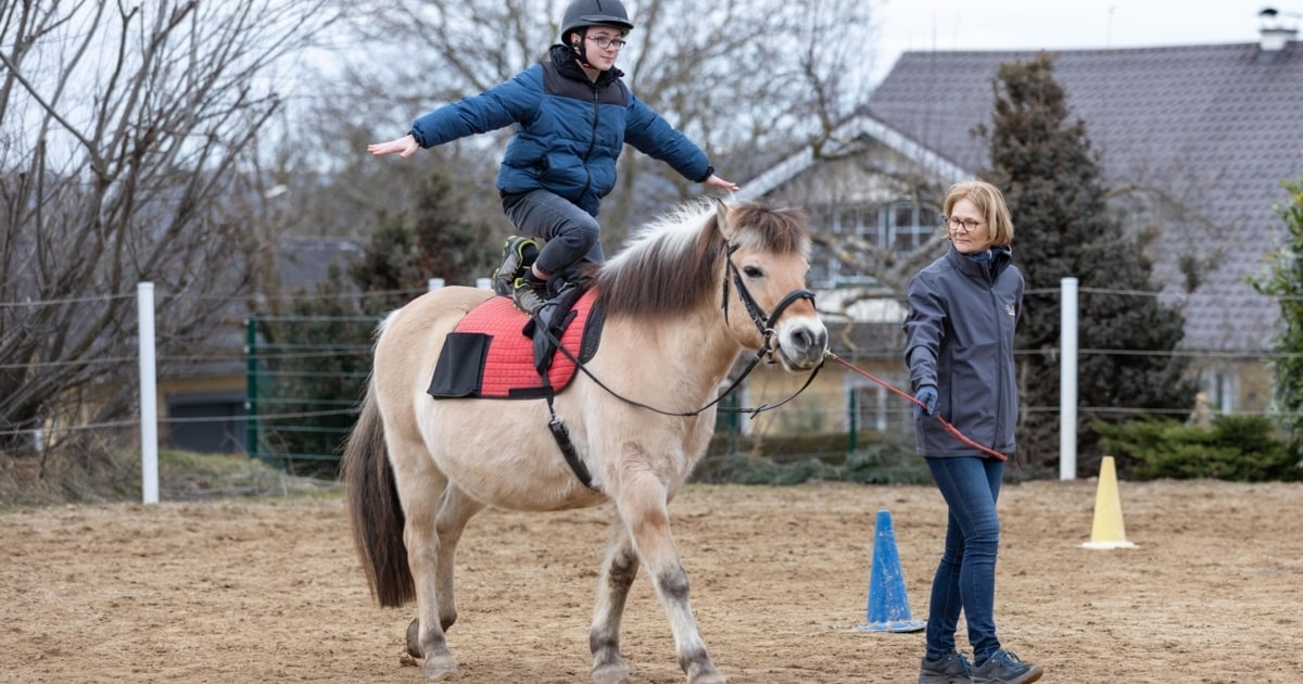 Calmer despite ADHD - A horse as a therapist for Dominik (13) | krone.at