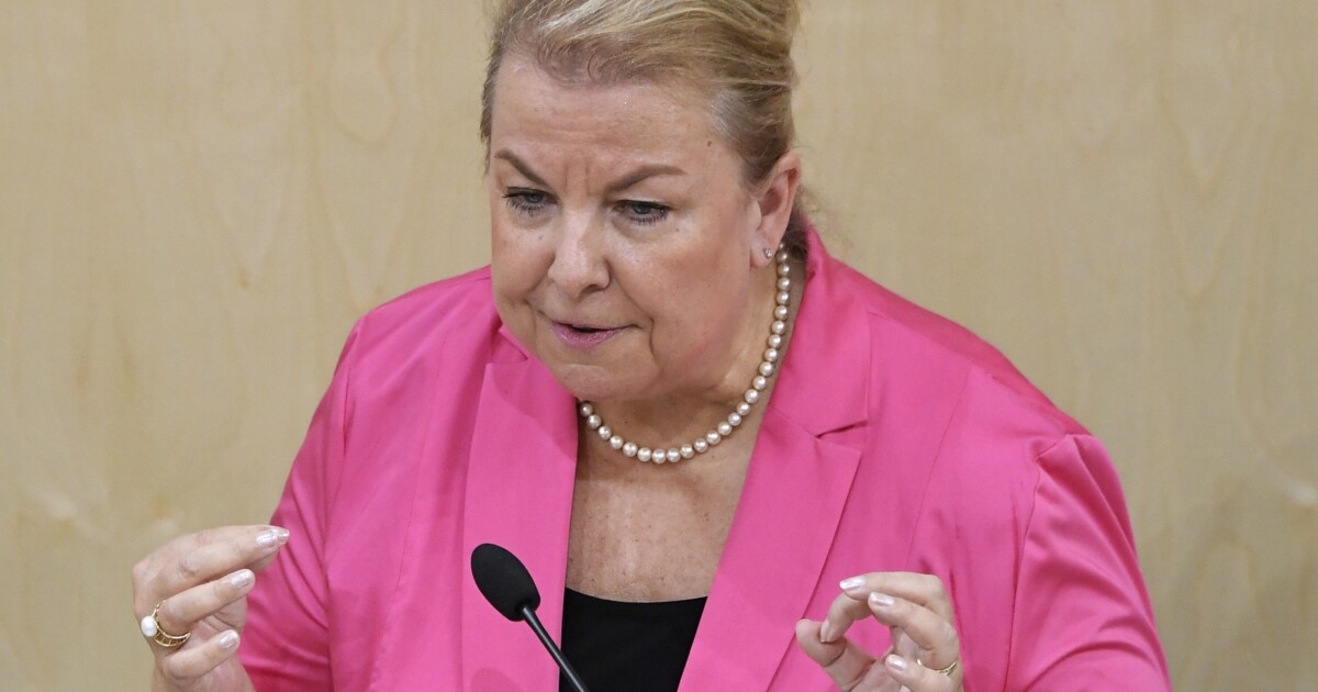 "Cajas sin empaquetar" - Archivos triturados: Hartinger-Klein no sabe ...