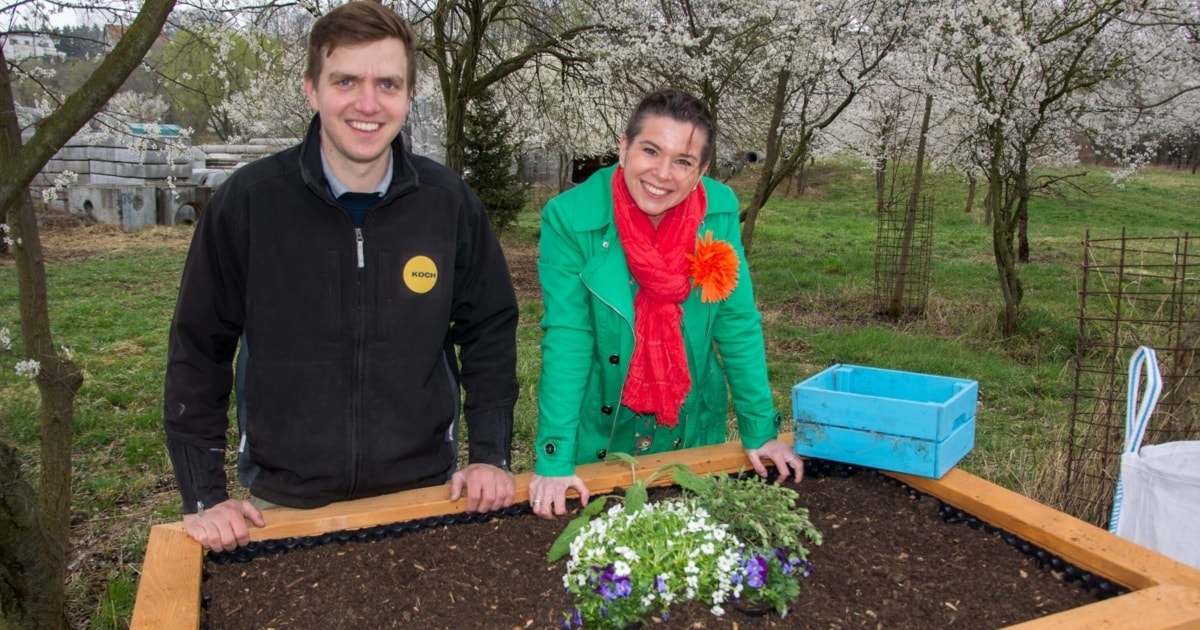 It's raised bed time - Uschi Zezelitsch reveals how to do it right ...