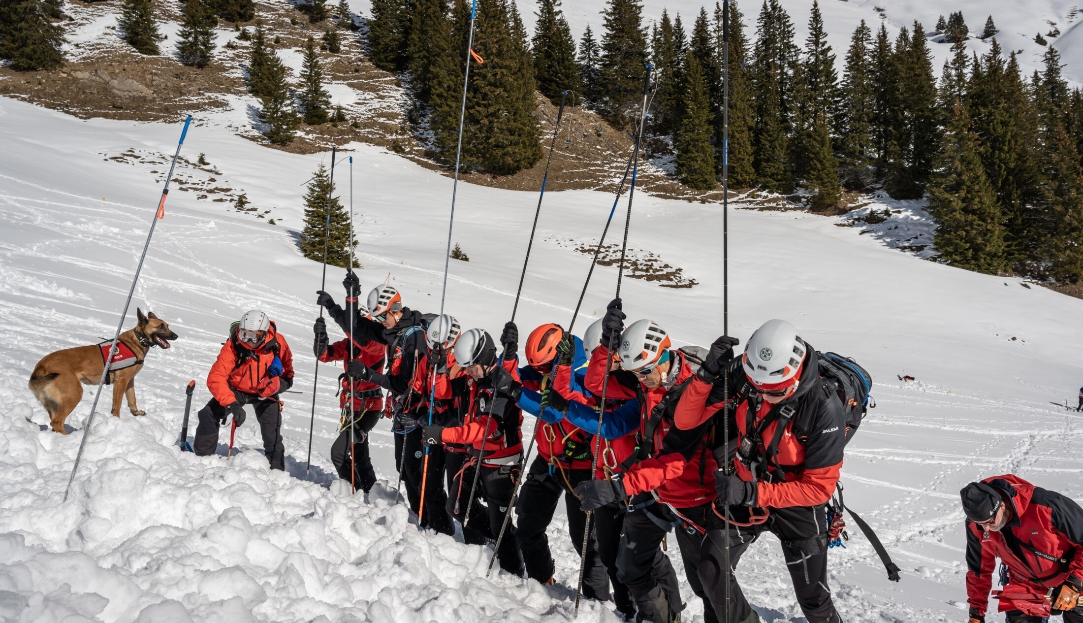 Tyrol and Bavaria - Mountain rescue training across borders | krone.at