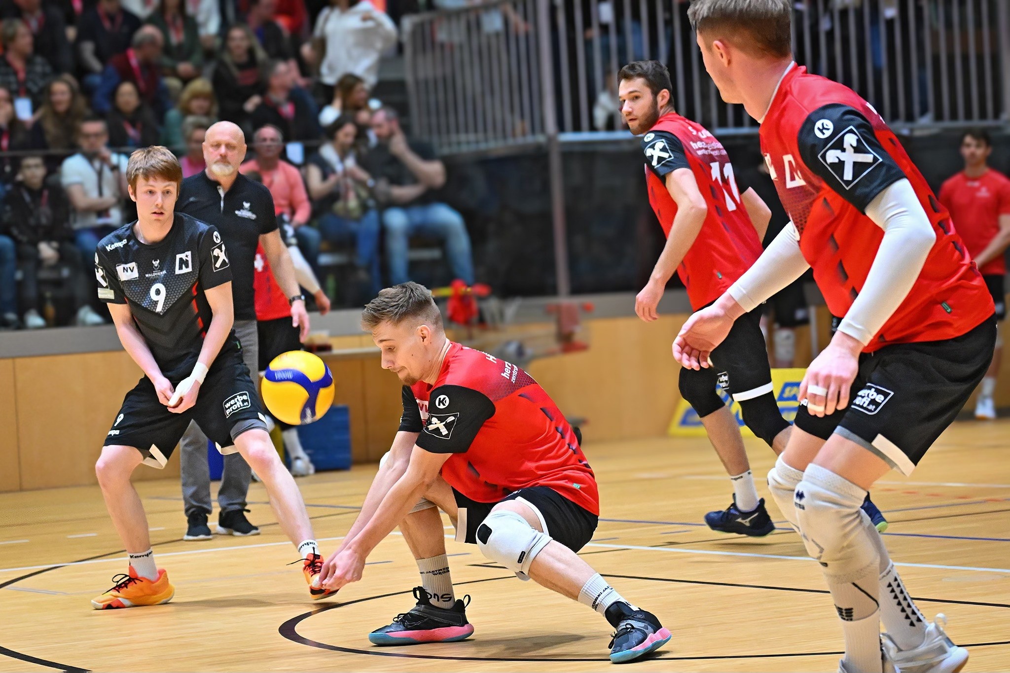 Over 1300 fans - Zwettl in volleyball fever: “Simply great!” | krone.at
