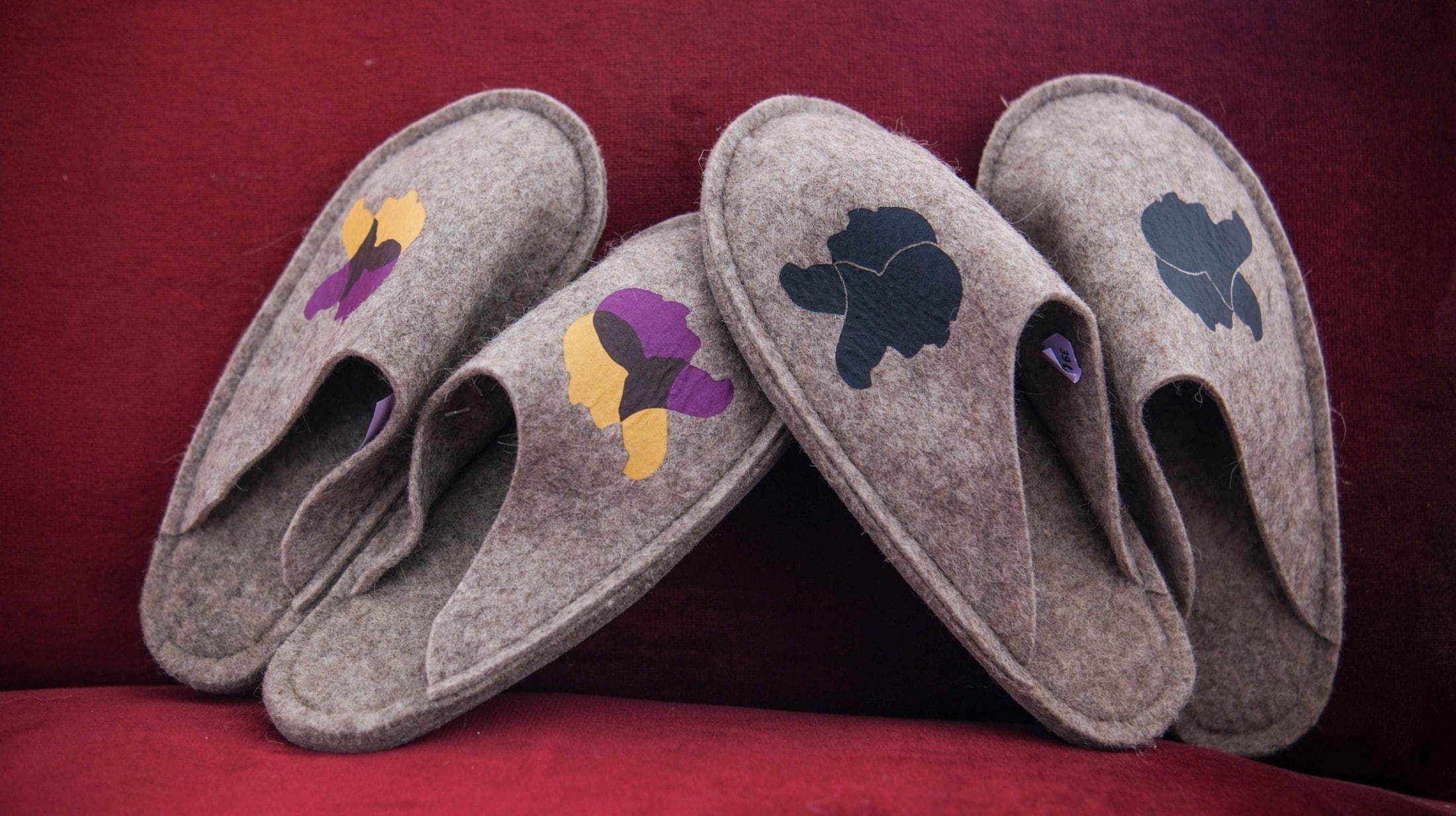 Curious city tour - Anton Bruckner: Organ, cider and felt slippers ...