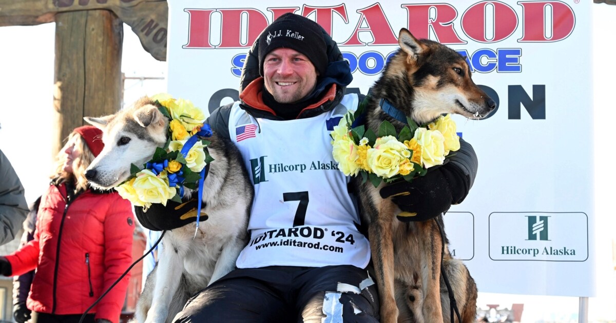 Iditarod en Alaska - La course de traîneaux à chiens remportée pour la ...