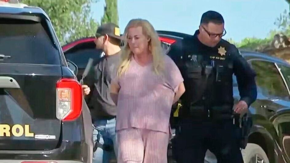 Jefe de una banda - Supermamá resulta ser una ladrona millonaria | krone.at