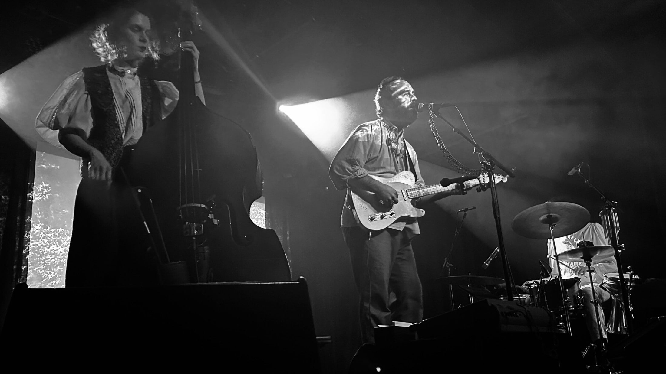 Paul Plut in Graz - Dark plants blossom in the alpine garden | krone.at