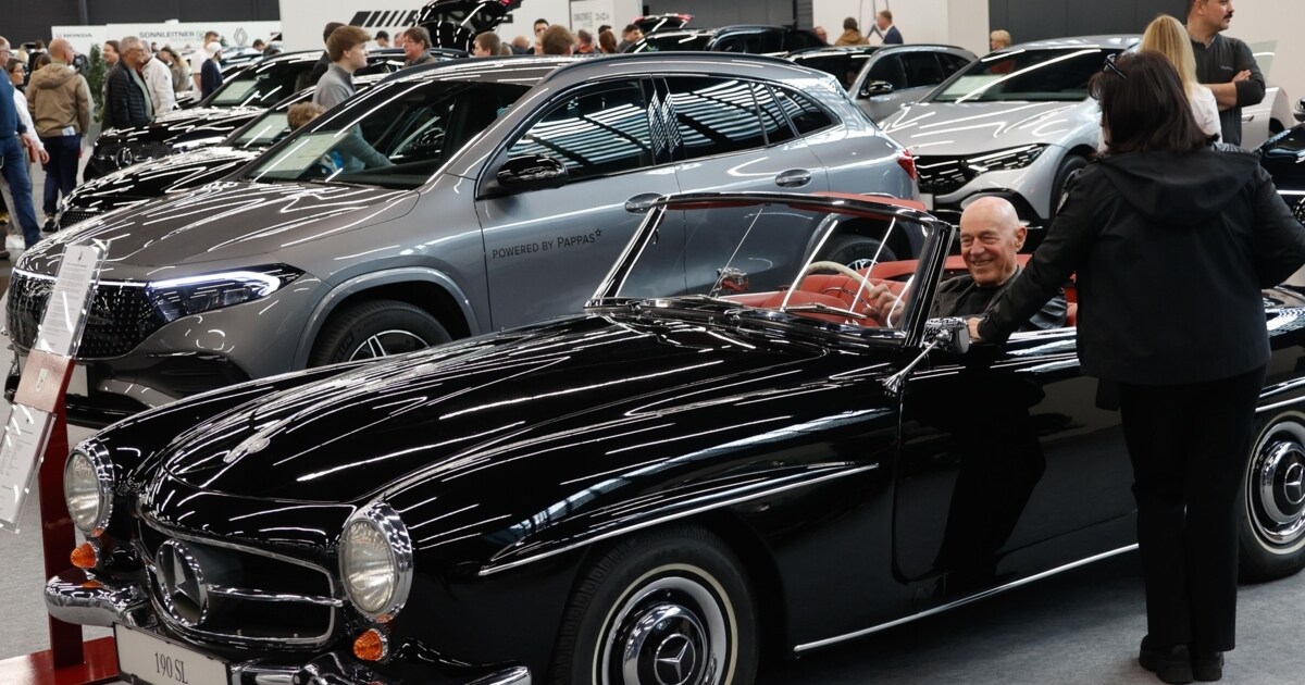 Spring fairs - Food, cars and a garden – what more could you want ...