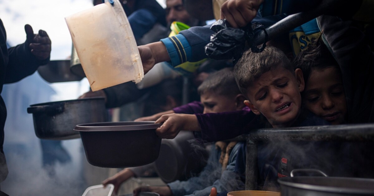 1.1 million people affected - Parts of Gaza face imminent famine | krone.at