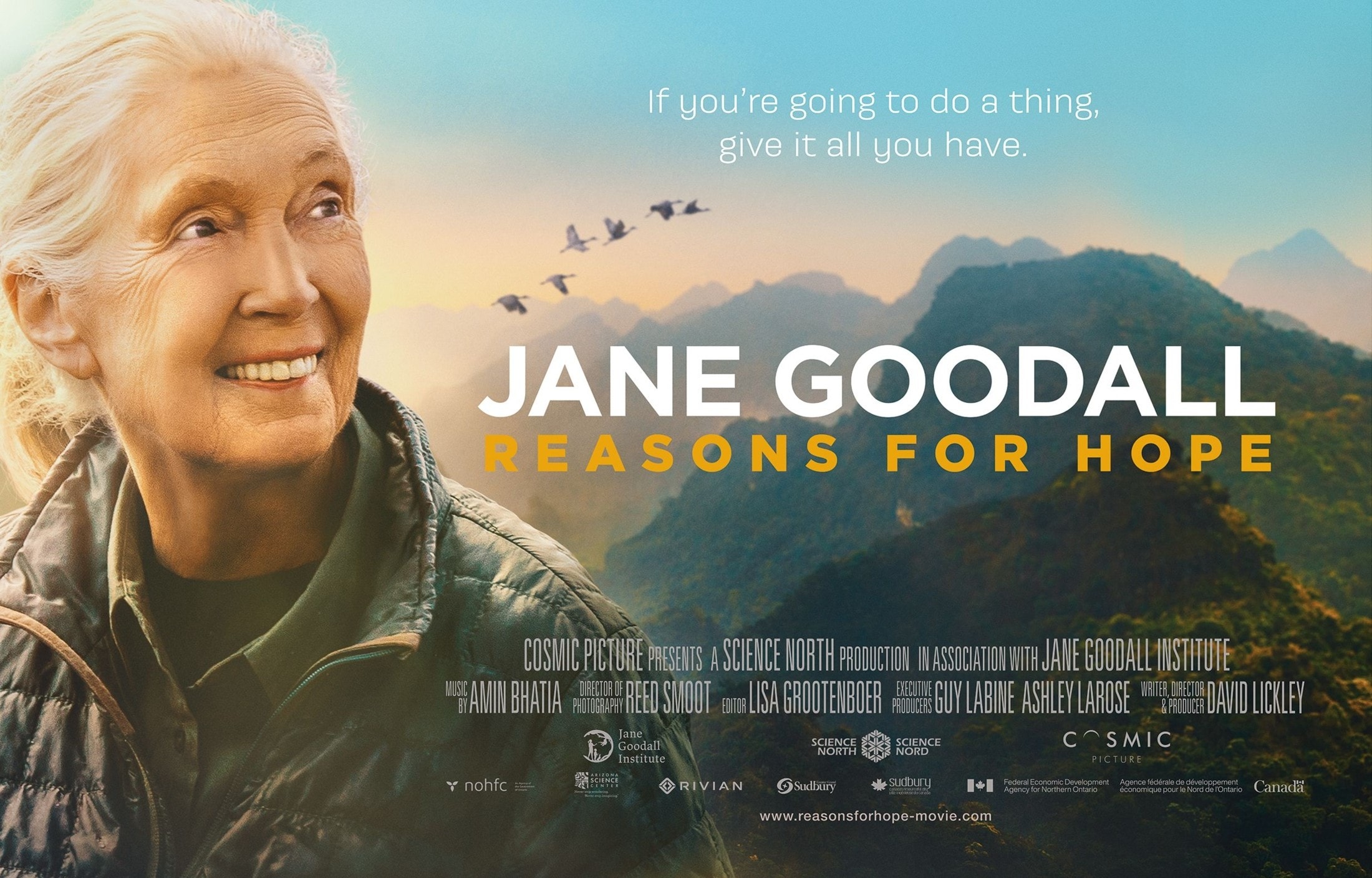 Vidio bokep indonesia ngentot