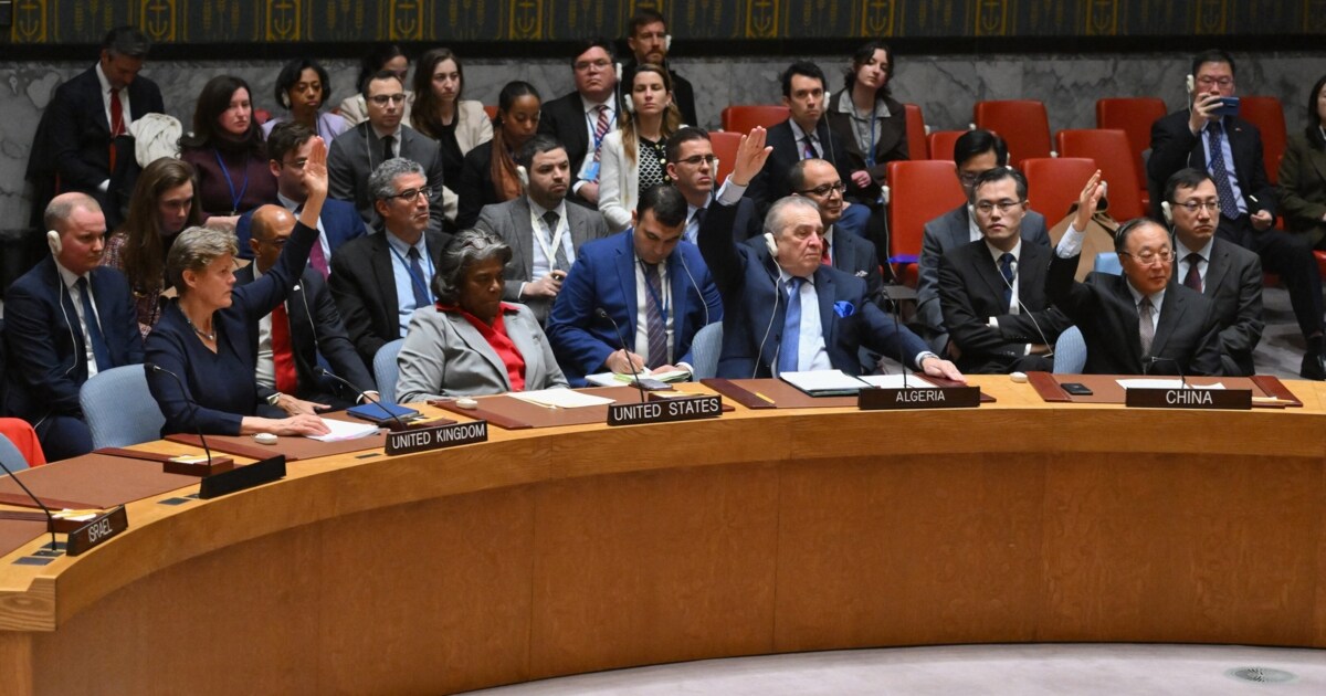 No veto by the USA - UN calls for “immediate ceasefire” in Gaza for the ...