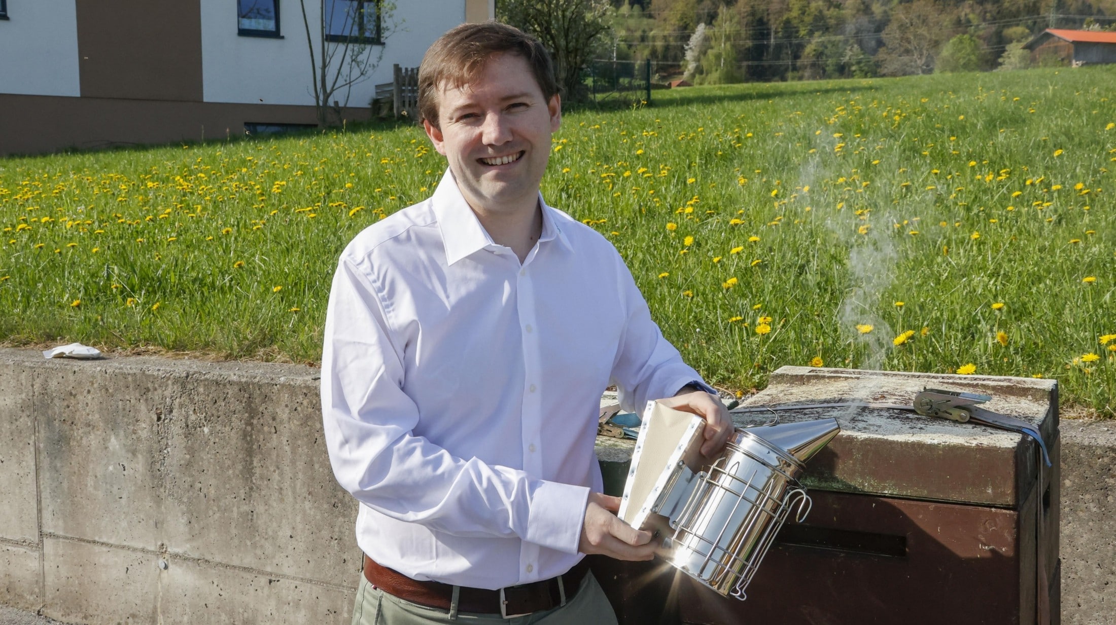 Fieser Bienentöter! - Asia-Hornisse erstmals in Österreich gesichtet ...