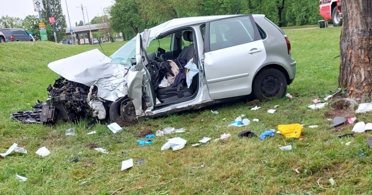 Fának ütközött - Súlyos baleset után autóba szorult nő | krone.at