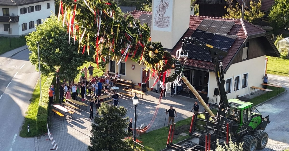 Frühlingsbeginn - Lebendige Tradition: Sperrgitter um den Maibaum ...