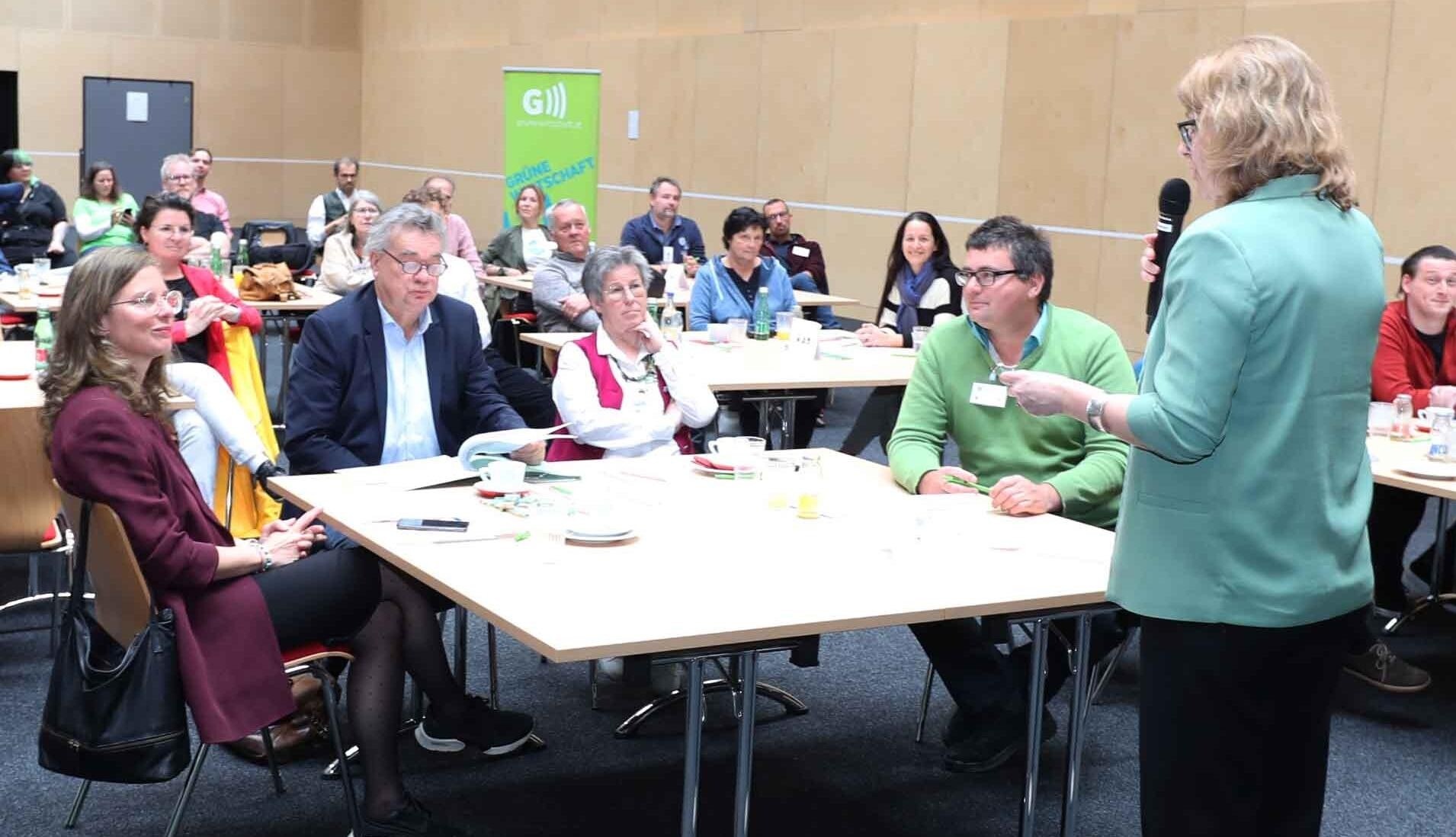 1,5 Grad Minus - Klimaplanspiele mit Vizekanzler Werner Kogler | krone.at