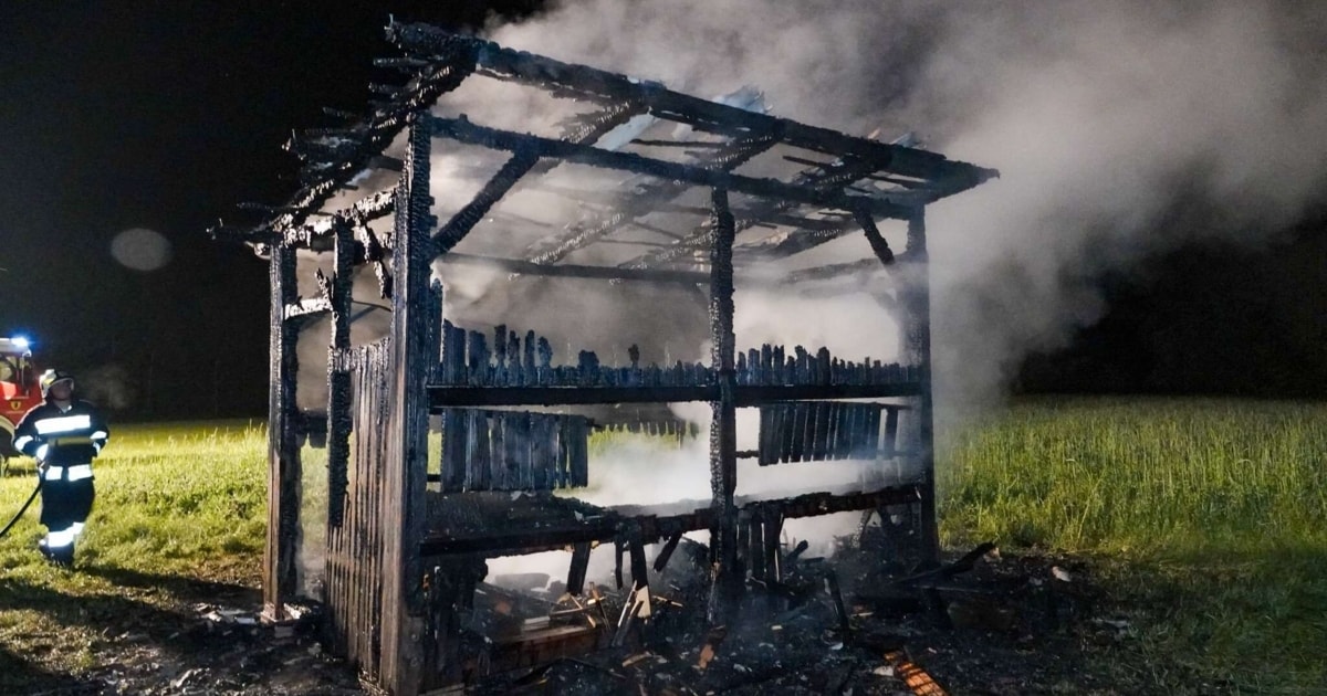 Hut on fire - Millions of bees die in agony in fire | krone.at