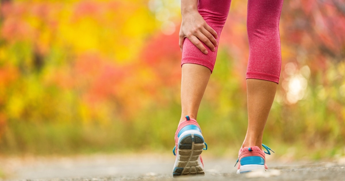 Despite leash - Dog suddenly bites walker in the calf | krone.at