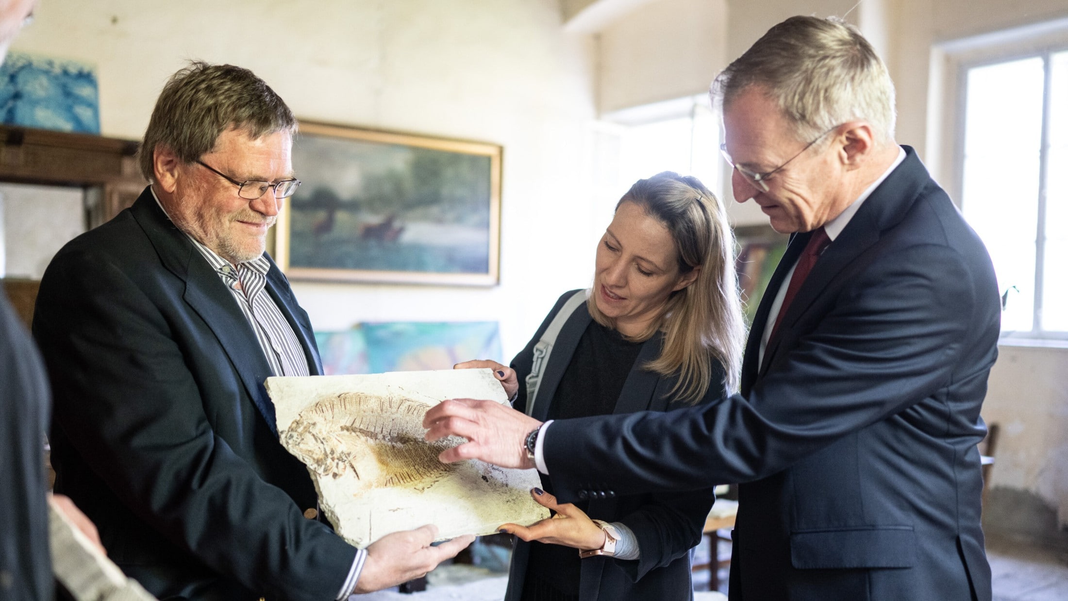 Ankauf einer Sammlung - Fossilien beweisen Krokodile in Oberösterreich ...