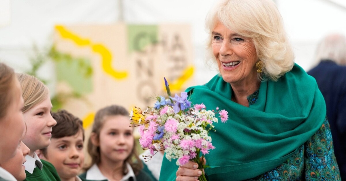 Inspired by a book - Camilla dreamed of life at the court of the Sun ...