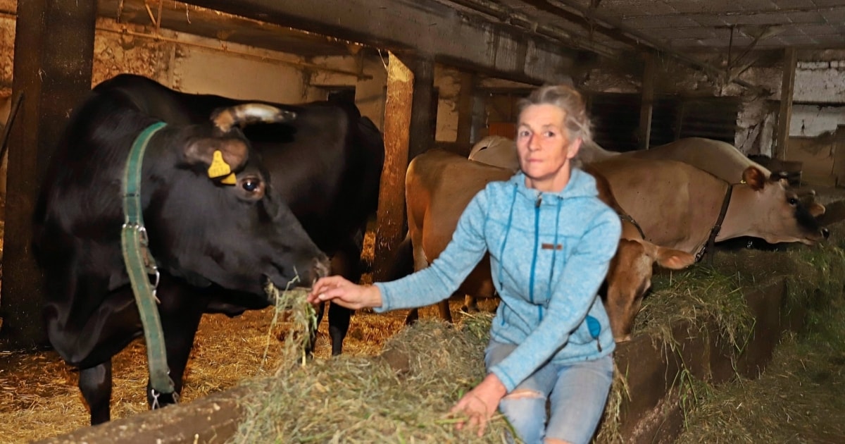 Moving fate - Wave of helpfulness saves farmer’s farm | krone.at