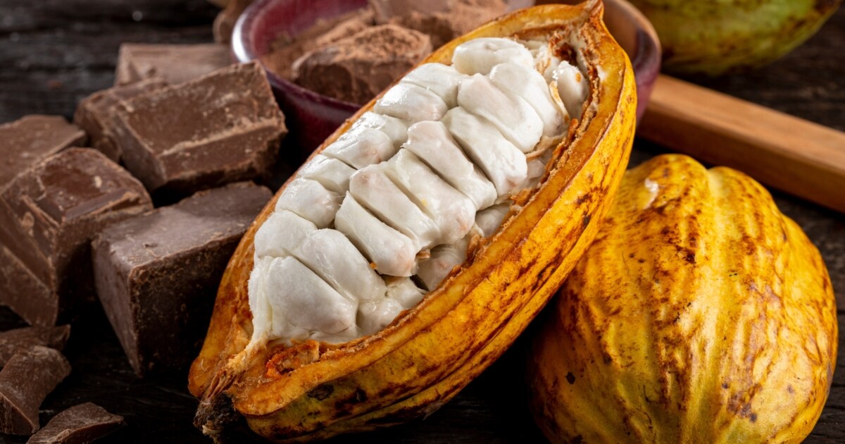 Novel recipe - Swiss researchers develop healthier chocolate | krone.at