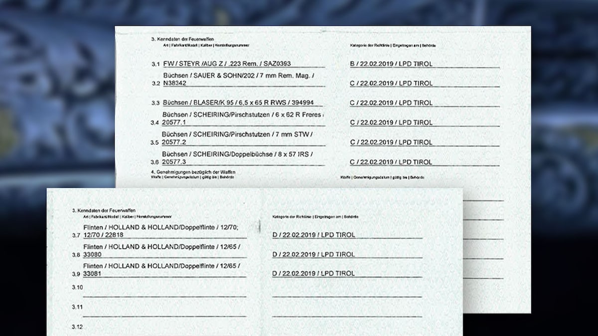 Sicherheitsbedürfnis - Benko: Ein Sturmgewehr und mehrere Bodyguards ...