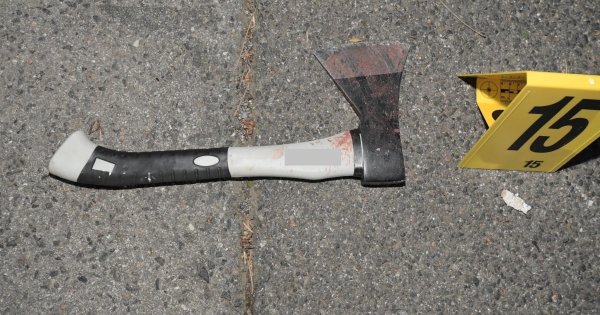 Shocking details - Axe murder in Vienna: entire housing estate in shock ...