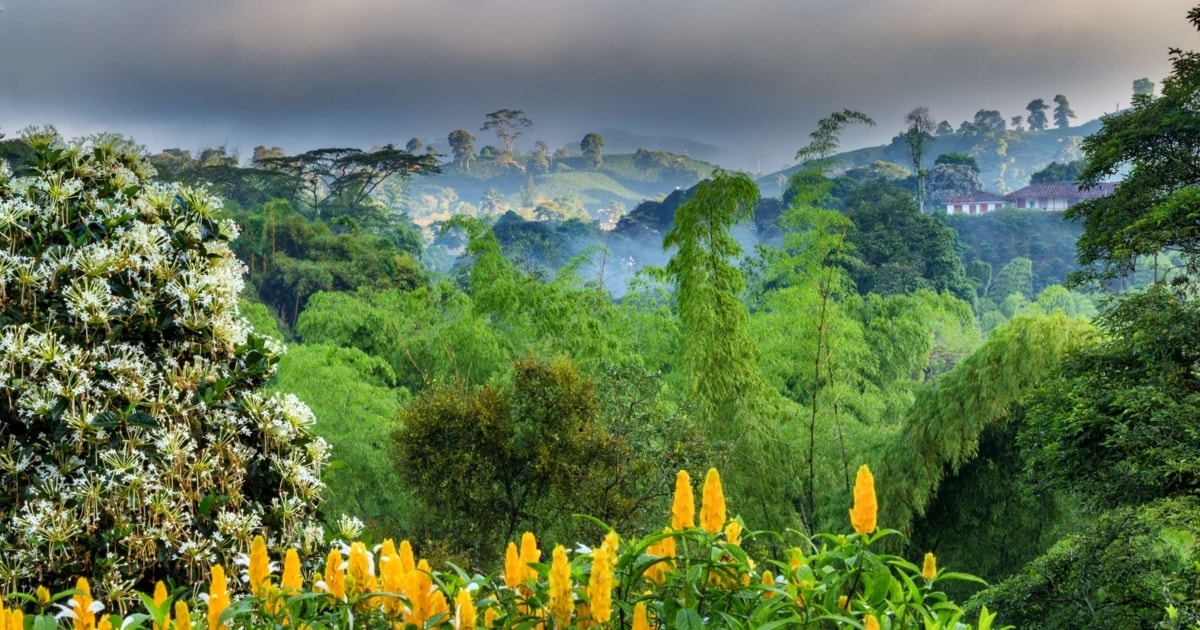 Colombia - A land of contrasts | krone.at