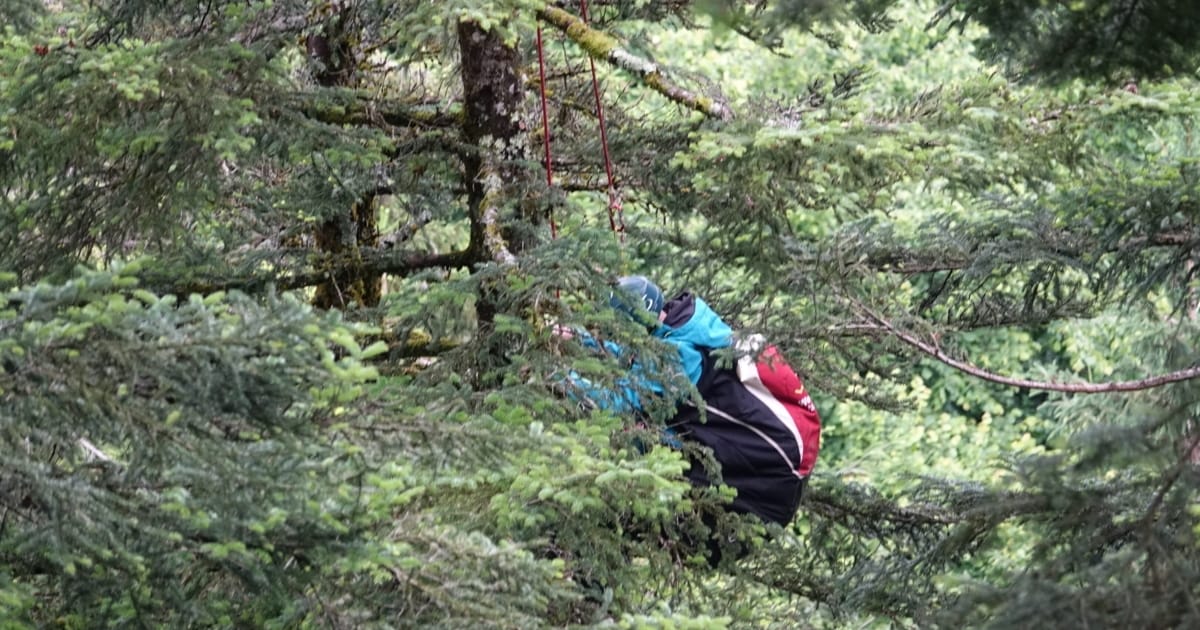 Difficult mission - Tyrol: Pilot (30) trapped in 40 meter high fir tree ...