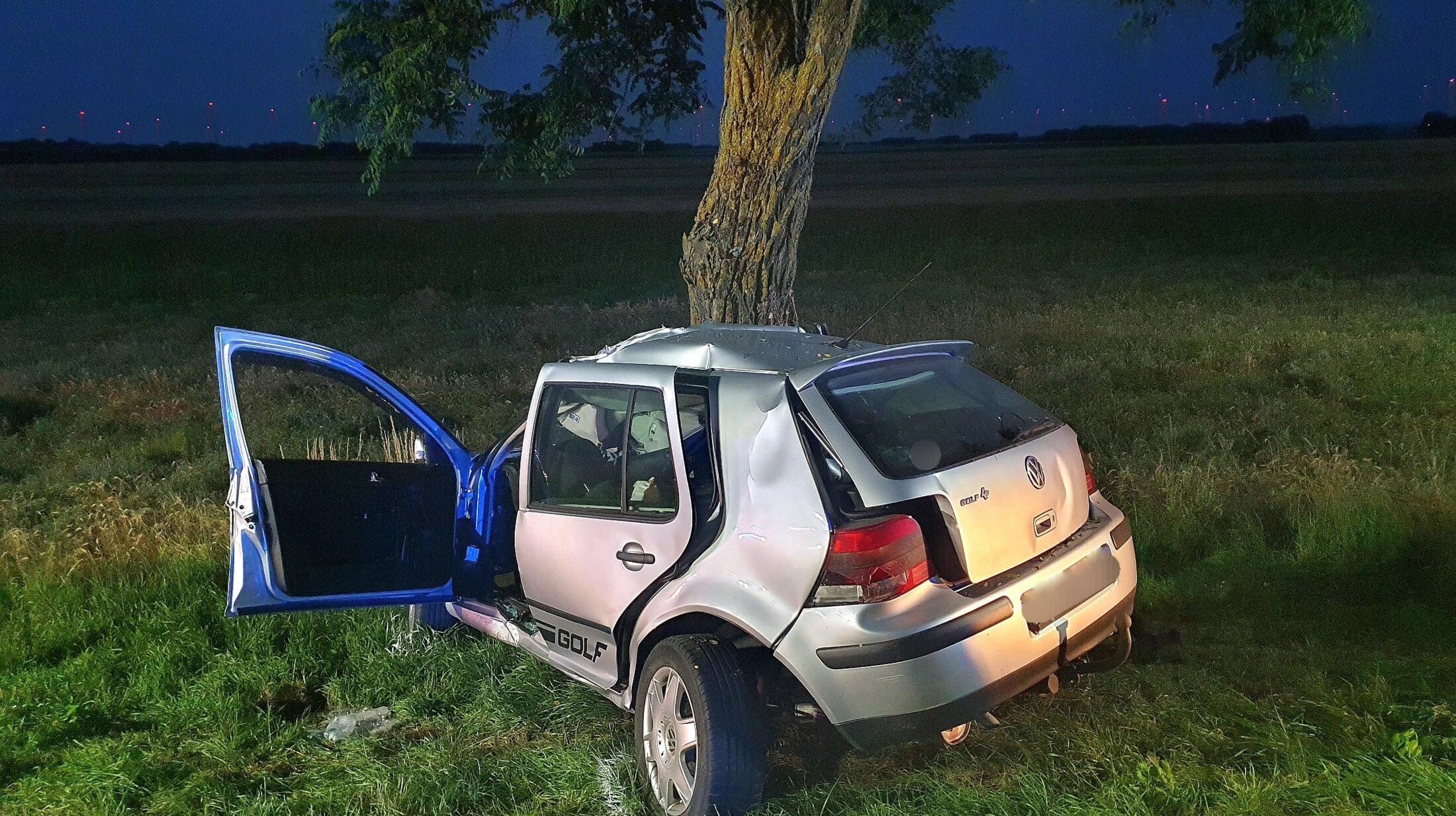 Accident near Zurndorf - Crashed into a tree: driver died | krone.at