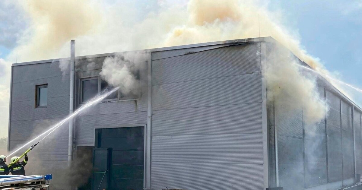 Six cats killed - More than 300,000 euros in damage after fire at ...