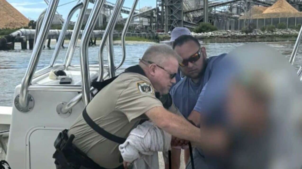 Sheriff as rescuer - Angler pulled shark onto boat in Florida – bitten ...