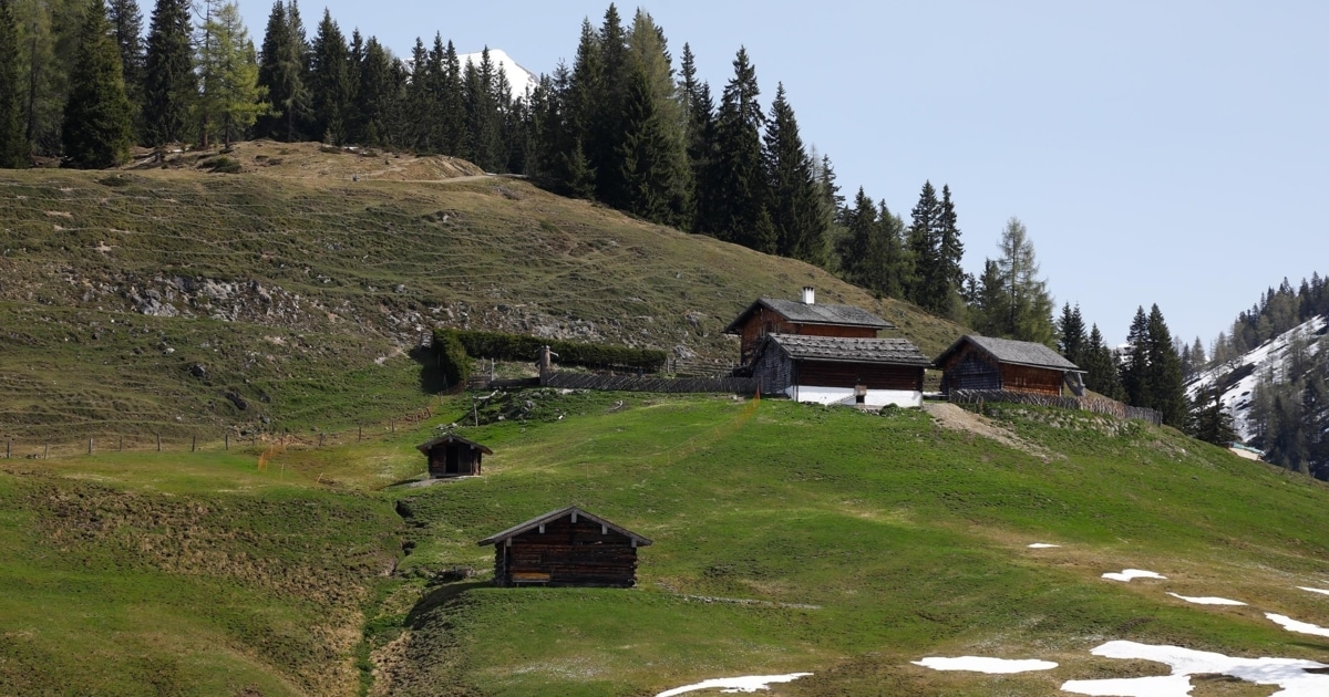 Politics involved - Dispute over alpine pasture continues | krone.at
