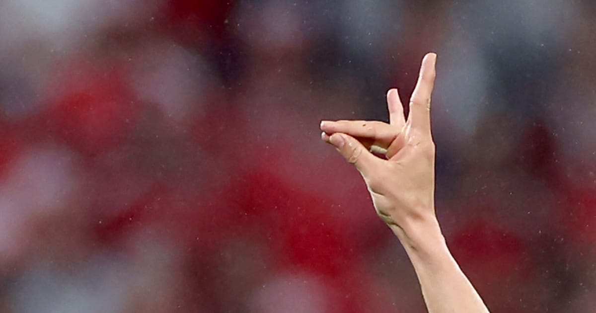 Escalation continues - Turkish Ultras call for wolf salute in the ...