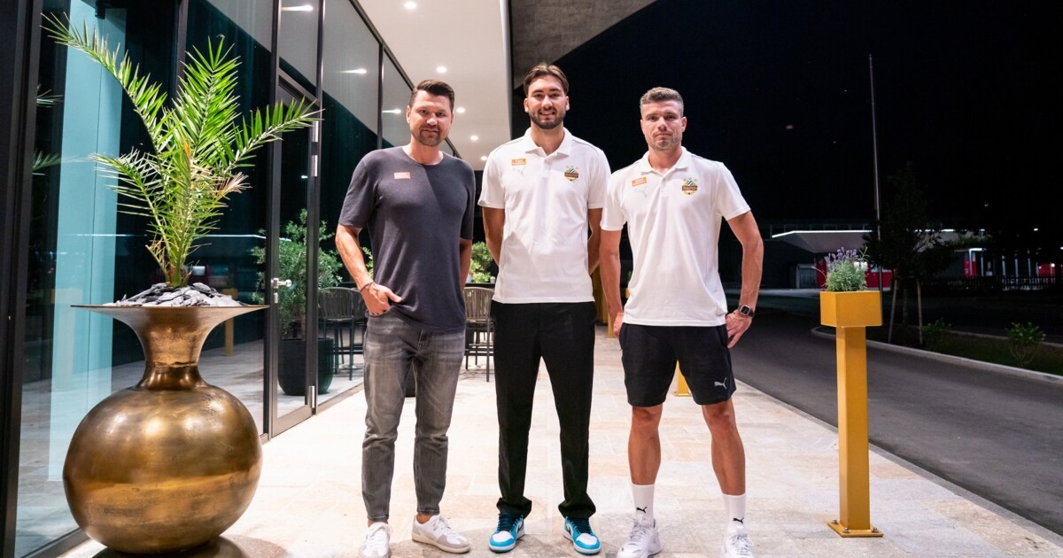 Loan with option to buy - Deal is perfect: Rapid has a new striker ...