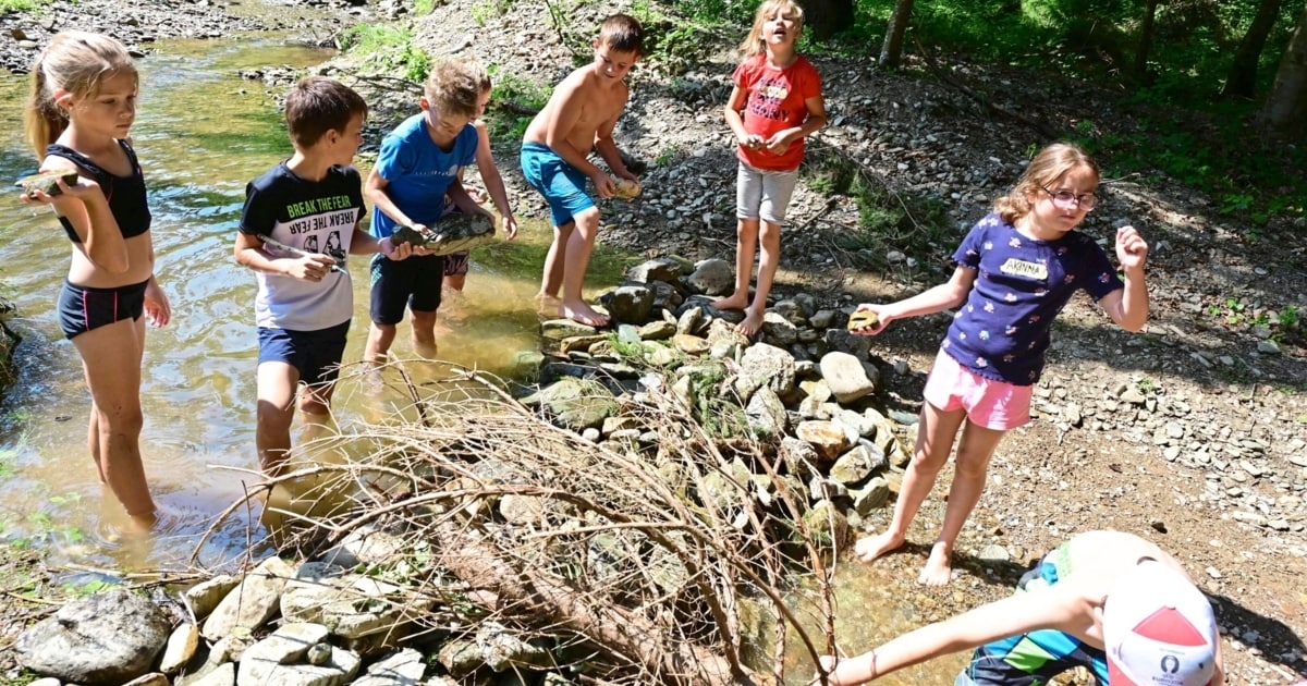 Geopark camp popular - Hupf in Gatsch: searching for clues in the ...