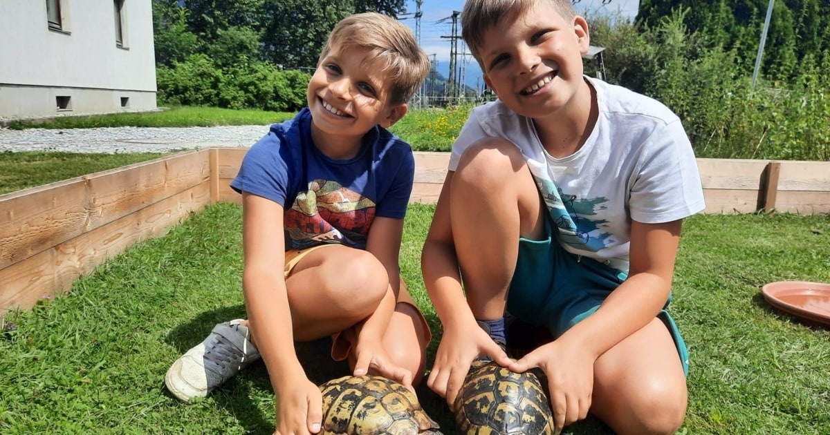 Im April ausgebüxt - Jetzt ist Schildkröte Schilli (41) wieder daheim ...